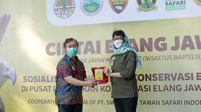 30 Tahun Leading Kegiatan Konservasi Eks-Situ, Ini Peran Taman Safari ...