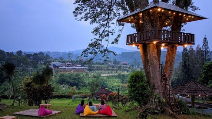 Kafe Baru di Puncak Bogor Tawarkan Pemandangan Alam Eksotis, Cuma 10 ...