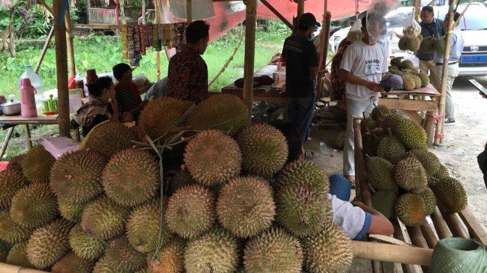 Mengintip Kampung Durian di Bogor, Pedagangnya Melimpah di Sepanjang ...