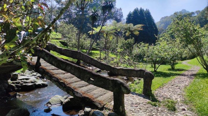 Rekomendasi Tempat Wisata Cianjur: Kebun Raya Cibodas, Bisa Lihat ...