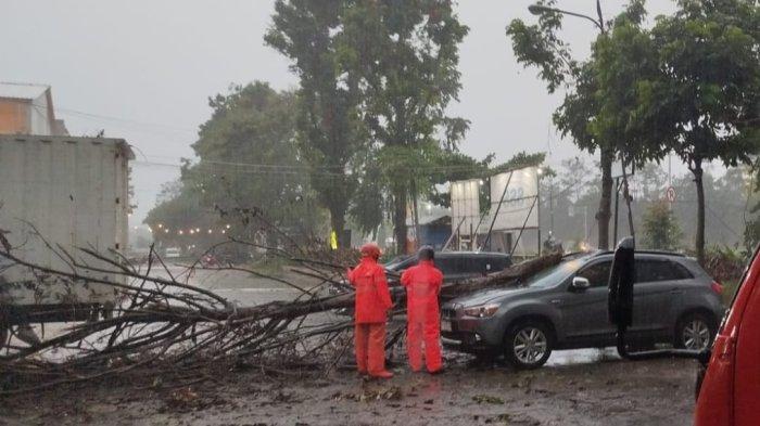 Hujan dan Angin Kencang Melanda Bogor, Sebuah Mobil Tertimpa Pohon Tumbang - Tribunbekasi.com