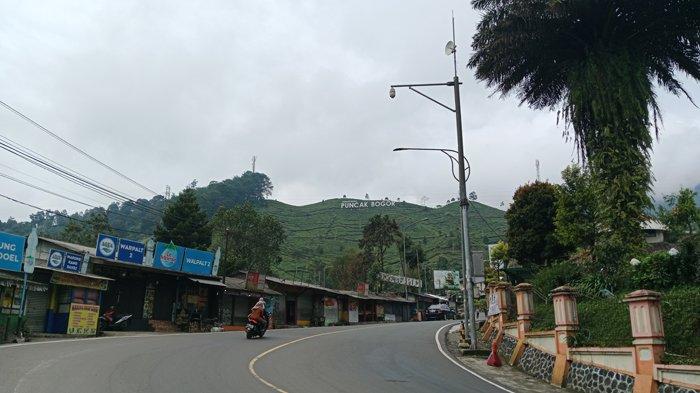 BMKG Citeko: Kawasan Puncak Bogor Hari Ini Cerah, Siang hingga Malam ...