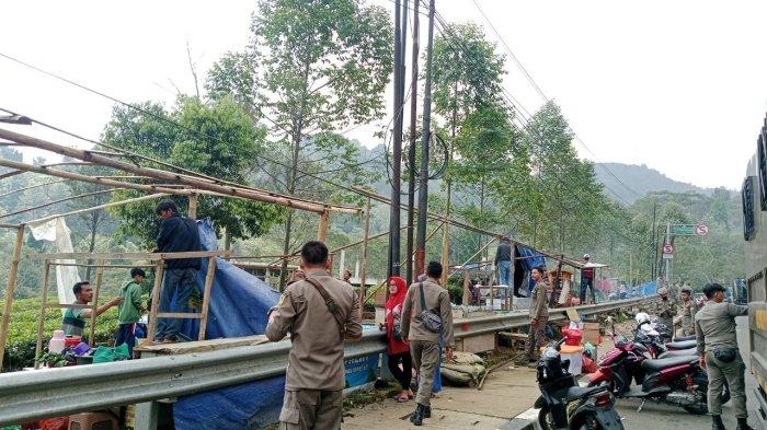 100 Lapak PKL di Area Kebun Teh Gunung Mas Puncak Bogor Ditertibkan Satpol PP - Tribunnewsbogor.com