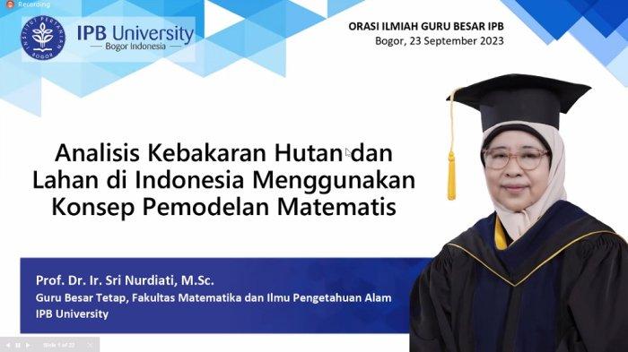 Dampak El Nino, Panas Matahari Bisa Memicu Karhutla, Guru Besar IPB ...