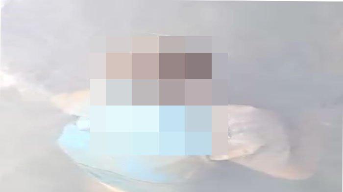 Warga Cilebut Bogor Ditemukan Tewas di Sungai Ciliwung, Kondisinya ...