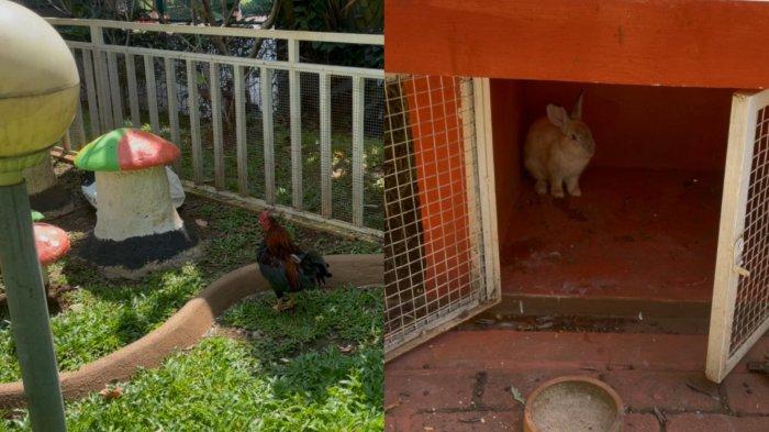 Lebih dari Sekadar Tempat Olahraga, Sportclub Bogor Raya Tawarkan ...