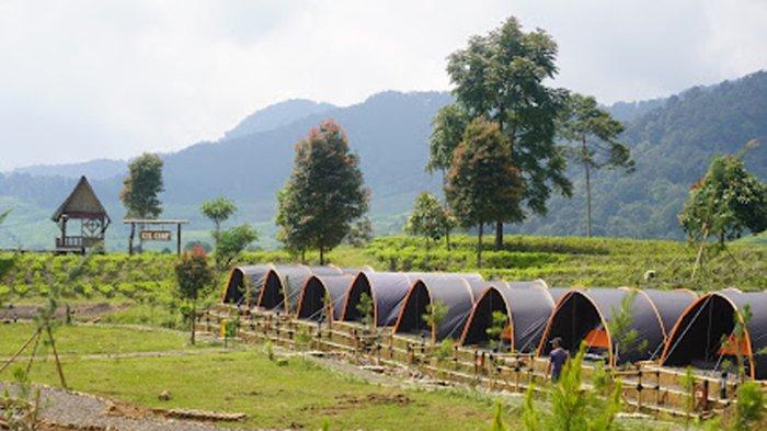 Cara Seru Liburan ke Tempat Wisata Puncak Bogor, Cobain Sensasi Kemping di Tengah Perkebunan Teh ...