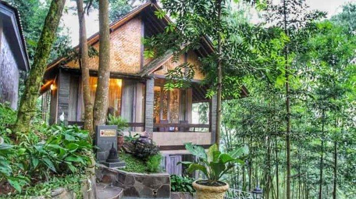 5 Rekomendasi Hotel di Bogor dengan Nuansa Hutan, Fasilitas Lengkap dan ...