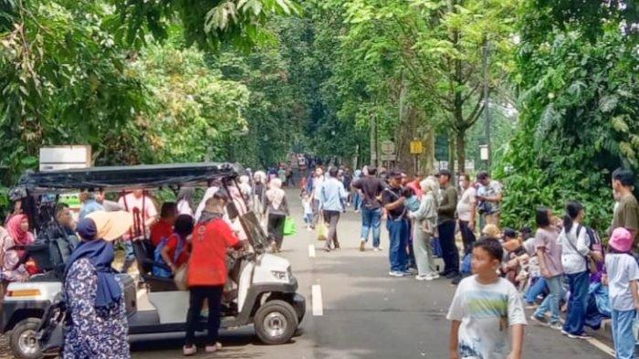 Libur Nataru, Jumlah Wisatawan di KRB Alami Peningkatan, Sampai Sentuh ...