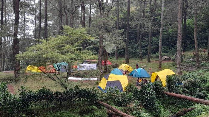 Tak Jauh Dari Puncak Bogor, Lembah Pasir Sumbul Jadi Lokasi Favorit ...