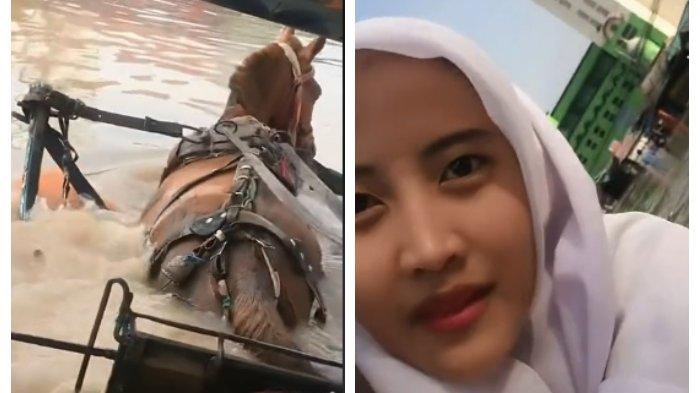 Kegigihan Siswi SMA Menuntut Ilmu Dipuji, Kuda Cokelat Sampai Kuat ...