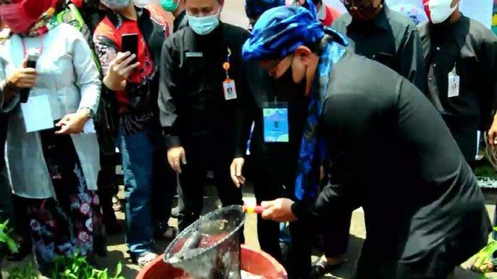Ikut Panen Ikan Lele Dalam Ember, Bima Arya : Ini Dahsyat ...