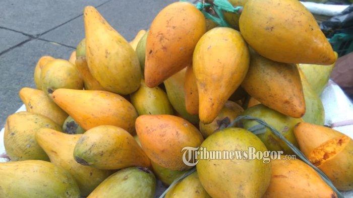 Terbilang Langka dan Kaya Khasiat, Buah Alkesa Bisa Ditemui di Kawasan ...