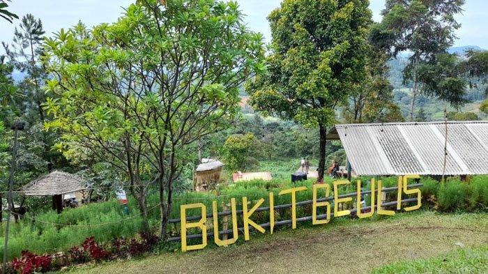 Harga Tiket Tempat Wisata Bukit Geulis Bogor, Punya Spot Foto Menawan View Perbukitan ...