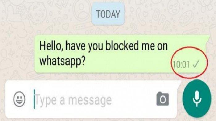 Kenali 5 Tanda Chat di WhatsApp, Simak Arti Centang Satu hingga Tanda ...
