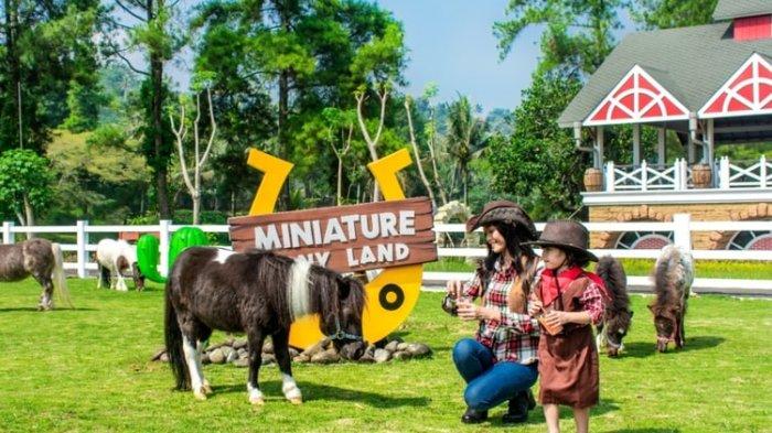 Harga Tiket Masuk 2023 Cimory Dairyland Puncak, Lengkap Rute dan Jam ...