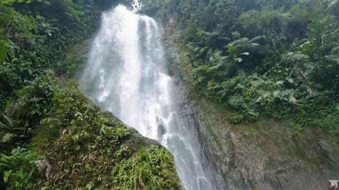 Jelajah Curug Saderi Bogor, Tempat Wisata yang Tersembunyi di Tengah ...