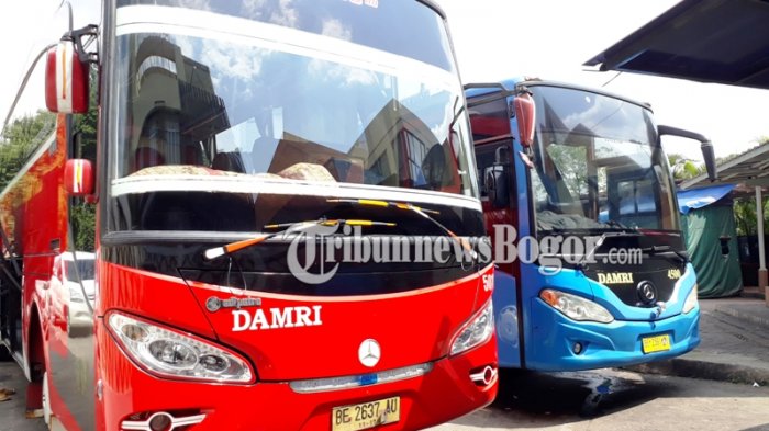 Larangan Mudik, Ini Daftar Rute Bus Damri yang Masih Beroperasi di ...