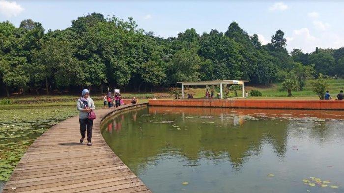 Harga Tiket dan Daya Tarik Tempat Wisata Bogor Kebun Raya Cibinong, Ada ...