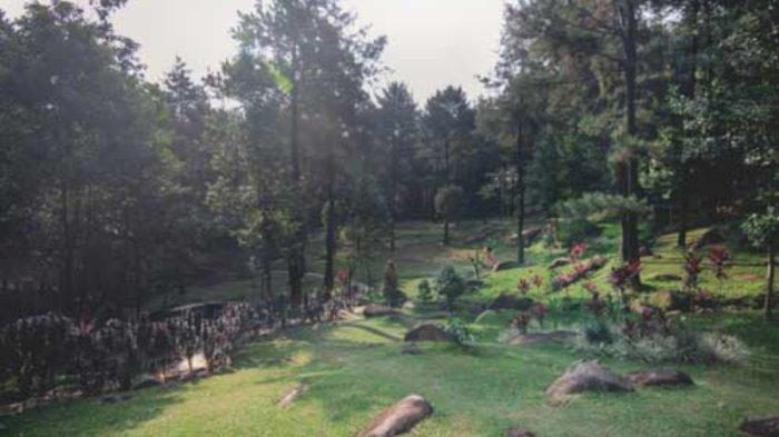 Ajak Doi ke Sini Akhir Pekan Besok, 5 Tempat Wisata di Bogor yang Suasananya Romantis ...