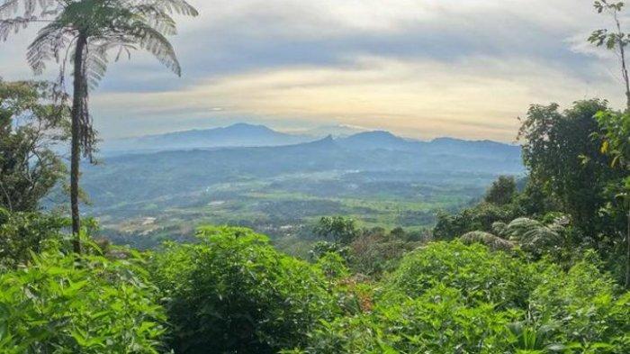 3 Tempat Wisata Gunung Kecil di Bogor yang Disukai Pendaki, Treknya ...