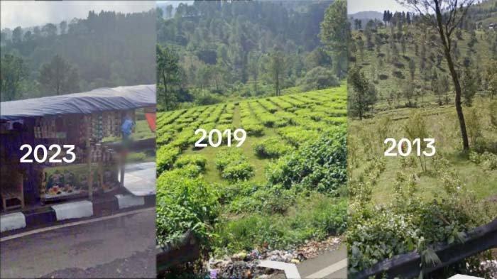 FOTO-FOTO Perbedaan Lokasi Hibisc Puncak Bogor Tahun 2013 - 2025 ...