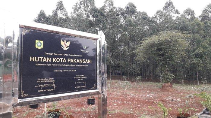Bikin Adem, 1.000 Lebih Pohon Sudah Tumbuh di Hutan Kota Pakansari ...