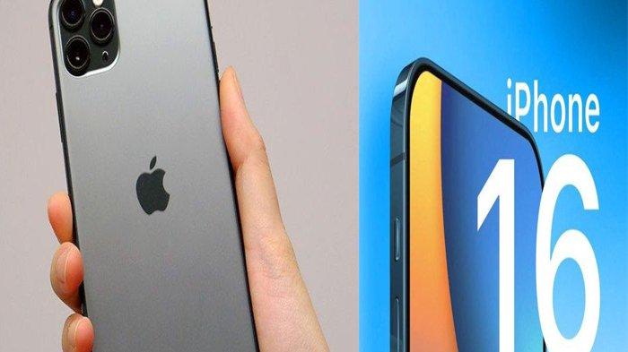 iPhone 11 Naik Daun Jelang iPhone 16 Dirilis September 2024, Segini Harga HP iPhone di iBox ...