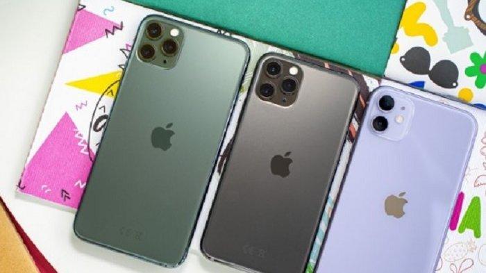 iPhone 16 Dilarang di Indonesia, iPhone 11 Kembali Naik Daun Jelang Akhir Tahun 2024 ...