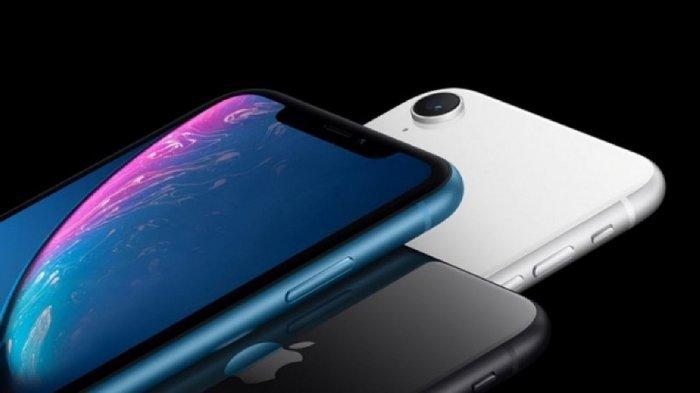 Harganya Mulai Rp 4 Jutaan, Ini 3 HP iPhone yang Masih Layak Dimiliki Tahun 2023 ...