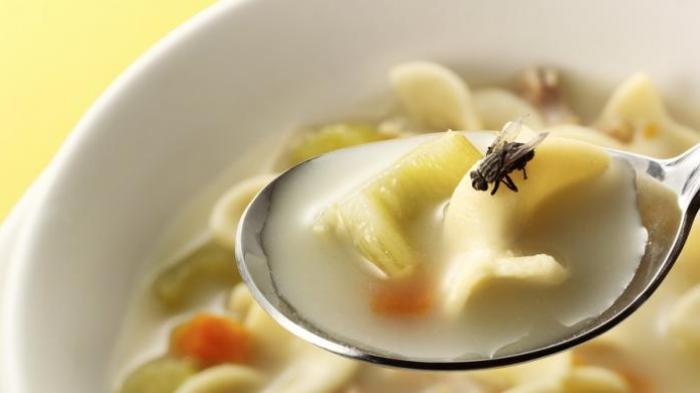 Hasil Penelitian Pakar IPB, Lalat Buah Jadi Penghambat Ekspor Produk ...