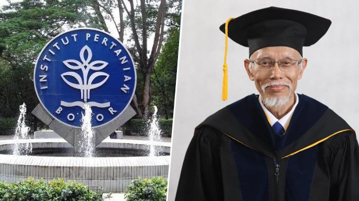 Guru Besar IPB : 40 Persen Penduduk Indonesia Belum Berketahanan Pangan ...