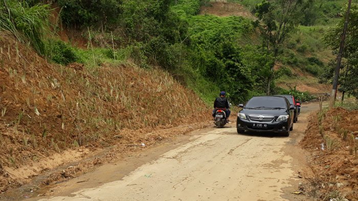 Pasca Longsor, Tebing Di Citeureup Bogor Ditanami Tumbuhan Penahan ...