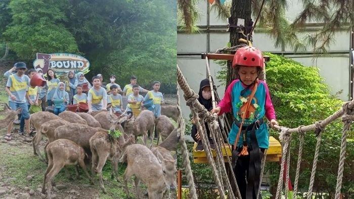 5 Tempat Wisata Outbond di Bogor yang Seru dan Menantang, Bisa Paint ...