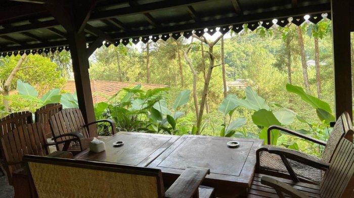Hits Banget! Kafe Alam Pancawati, Tempat Kuliner Bogor untuk Kamu yang ...