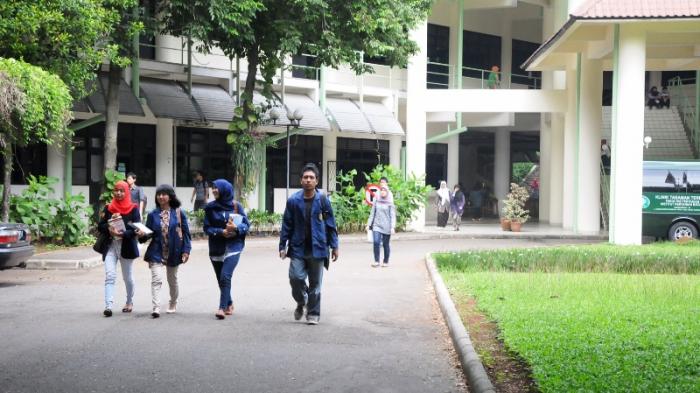Wujudkan Green Campus, IPB Mulai Lakukan Pembangunan Kapasitas Dan ...