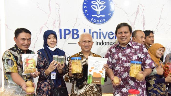 Dua Varietas Unggul Baru Kentang IPB University, Kandungan Gula Lebih ...