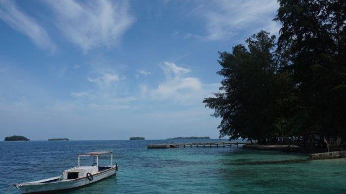 Selain Selamatkan Terumbu Karang, Fish Shelter Bisa Jadi Destinasi ...