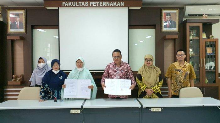IPB University Kenalkan Produk Miko-Seedcookies, Media Tanam di Lahan ...