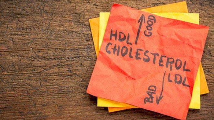 Awas Kolesterol Naik Imbas Makan Daging saat Lebaran 2025, Tangkal ...