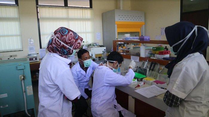 Belajar DNA Barcoding untuk Analisis Spesies Baru di Departemen Biologi ...