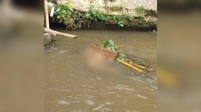 Seorang Nenek Ditemukan Tewas di Sungai Cipakancilan Kota Bogor, Diduga Terpeleset ...