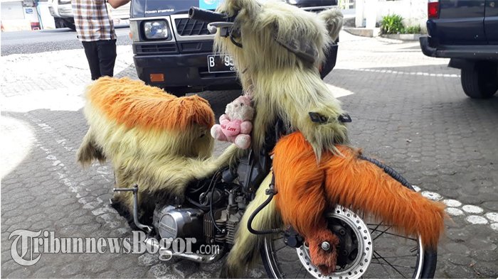 Unik, Pria Ini Sulap Sepeda Motornya Jadi mirip 'Anggora', Polisi ...
