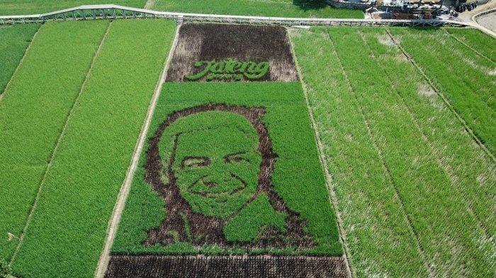 Respon Ganjar Pranowo Lihat Gambar Wajahnya di Tengah Sawah: Sayang ...