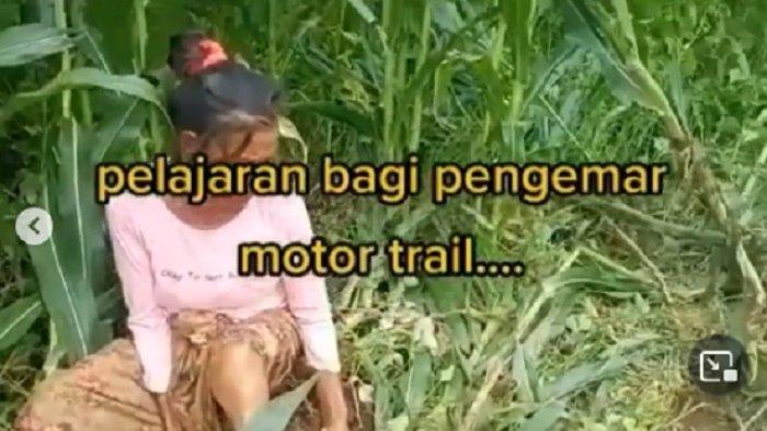 Kebun Jagungnya Dirusak Oknum Klub Motor Trail, Pemiliknya Menangis ...