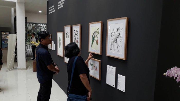 Pamerkan Puluhan Karya, Pekan Seni Botani Sedot Pengunjung Kebun Raya ...