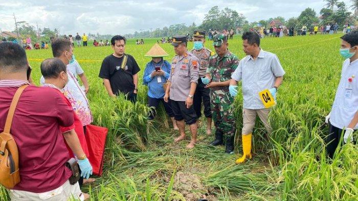 Mayat Wanita di Sawah Cilacap Ternyata Dibunuh Mantan Pacar, Rumah ... Mayat Wanita di Sawah Cilacap Ternyata Dibunuh Mantan Pacar, Rumah ...
