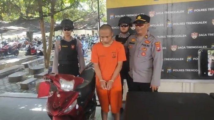Bocah 5 Tahun di Trenggalek Pacaran dengan Pria Usai Kenalan di Medsos, Pasrah Disetubuhi di ...