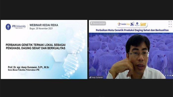 Luruskan Stigma, Pakar IPB University Jelaskan Pendapat soal Konsumsi Daging Domba Sebabkan ...