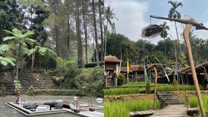 4 Rekomendasi Tempat Kuliner di Puncak Bogor, Suguhkan View Indah yang ...